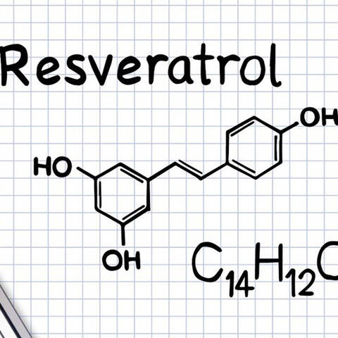 What is Resveratrol? | Benefits of Resveratrol | SkinCeuticals UK