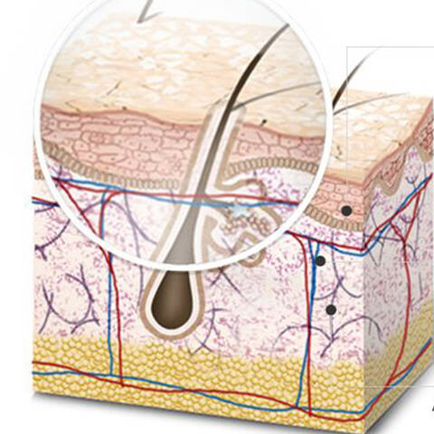 Understanding Ageing Skin | Causes & Caring | SkinCeuticals UK